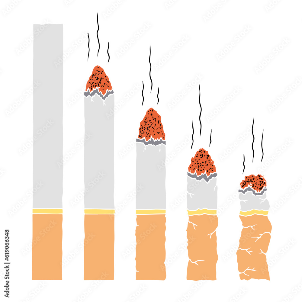 Cigarettes in various states of smoking, from a whole cigarette to a ...