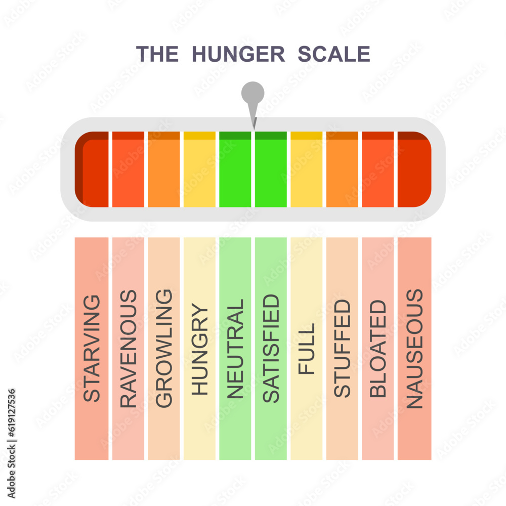 Hunger scale. Chart indicating eat stages to evaluate level of appetite ...
