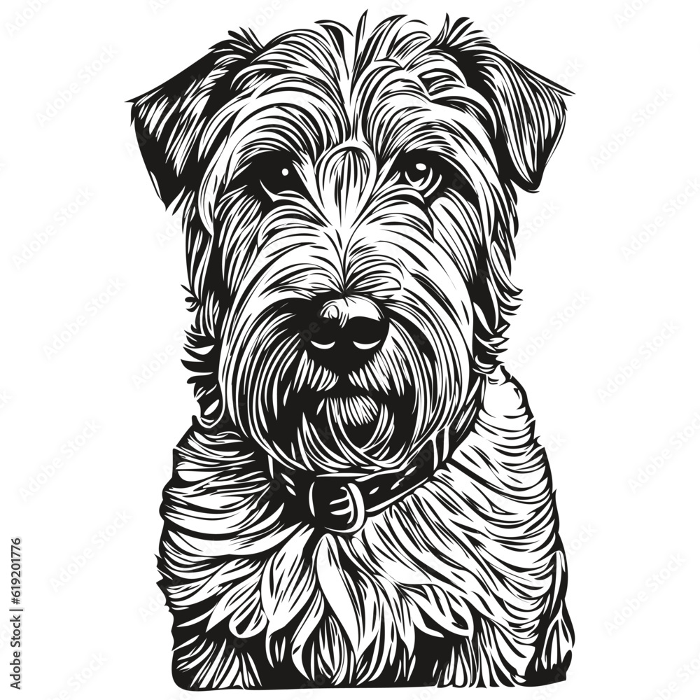 Soft Coated Wheaten Terrier dog vector face drawing portrait, sketch ...