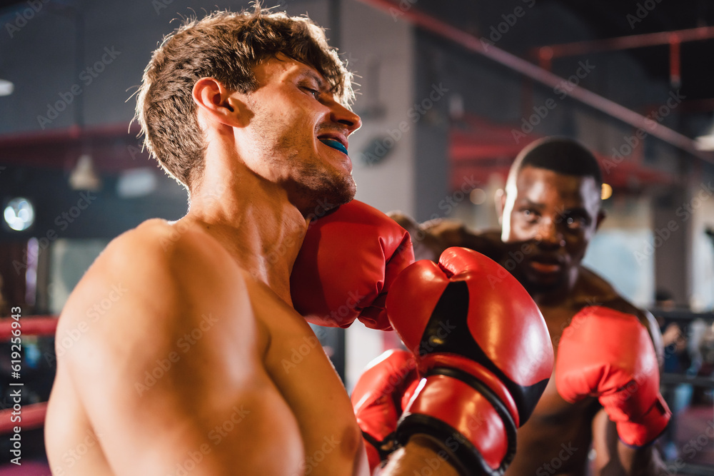 Gym atmosphere, Two professional fighters posing on the sport boxing ...