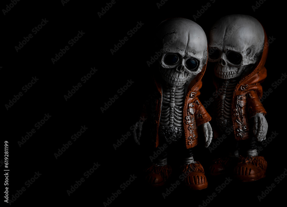 Skeleton people Halloween day of the dead Homemade by photographer ...