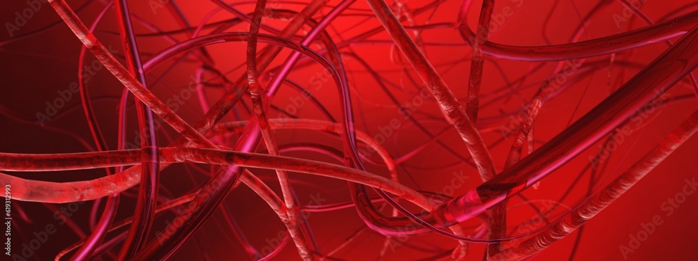 Veins and arteries, circulatory system, abstract science background, 3d ...