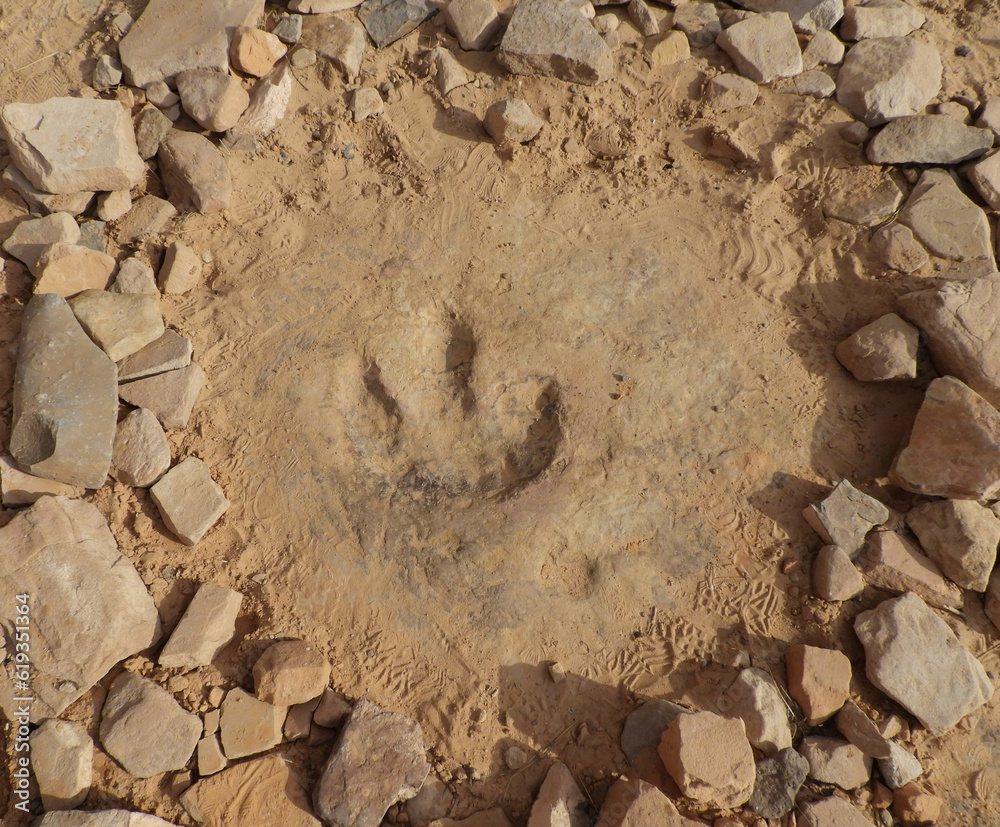 an ancient three-toed theropod dinosaur footprint on a ledge above the ...