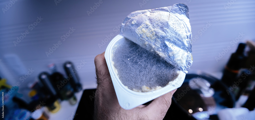 A hand is grasping a plastic recipient holding moldy yogurt. The ...