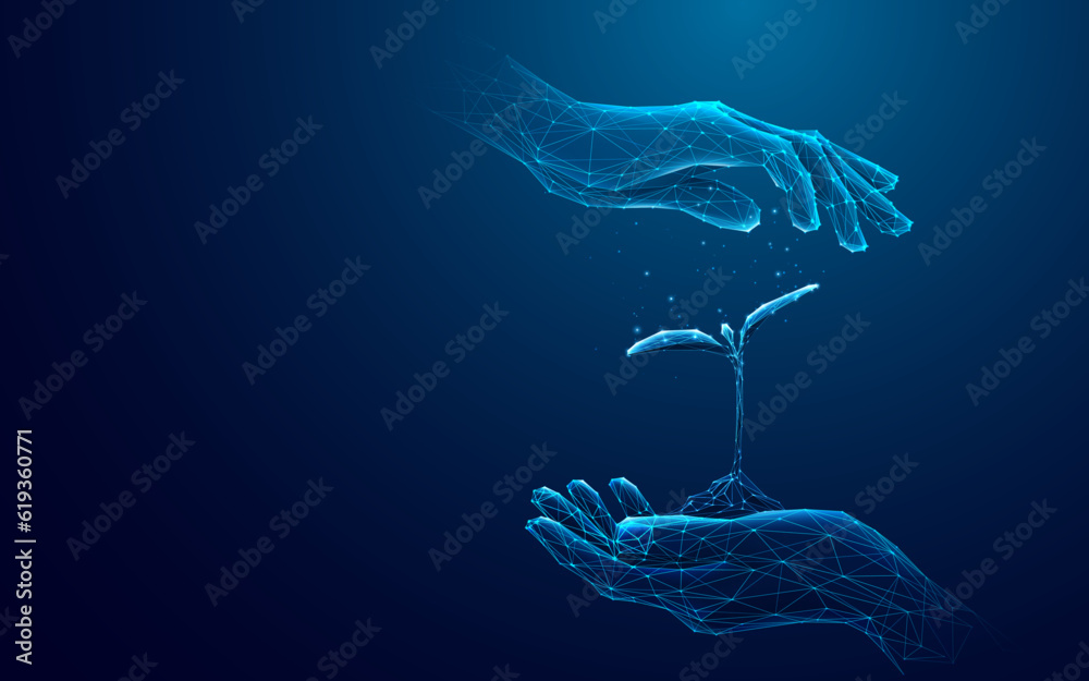 Abstract Digital Hands Protect a Sprout. The Human Covers the Plant ...