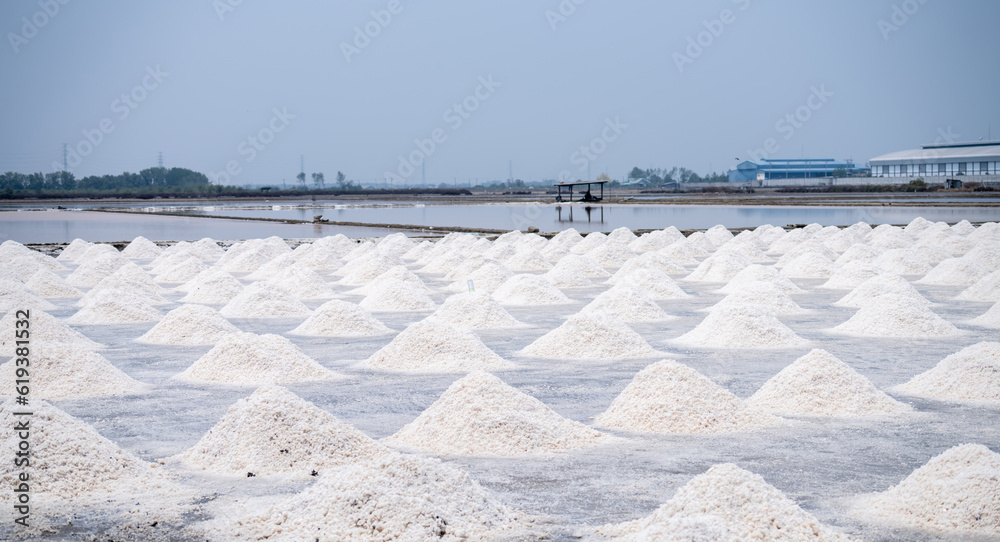 Landscape sea salt farm in Thailand. Brine salt. Raw material of salt ...