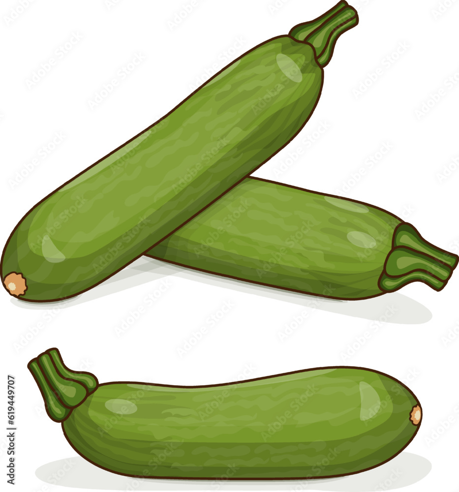 Group of Aehobak or Korean zucchini or Korean courgette. Summer squash ...