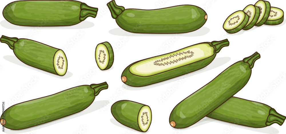 Set with whole, half, quarter, slices of Aehobak or Korean zucchini or ...