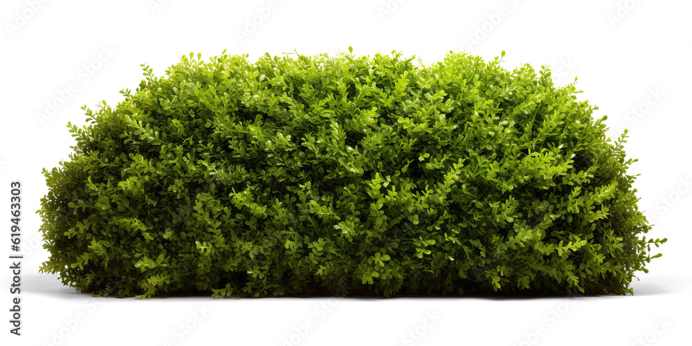 bush on transparent background, png Stock Illustration | Adobe Stock
