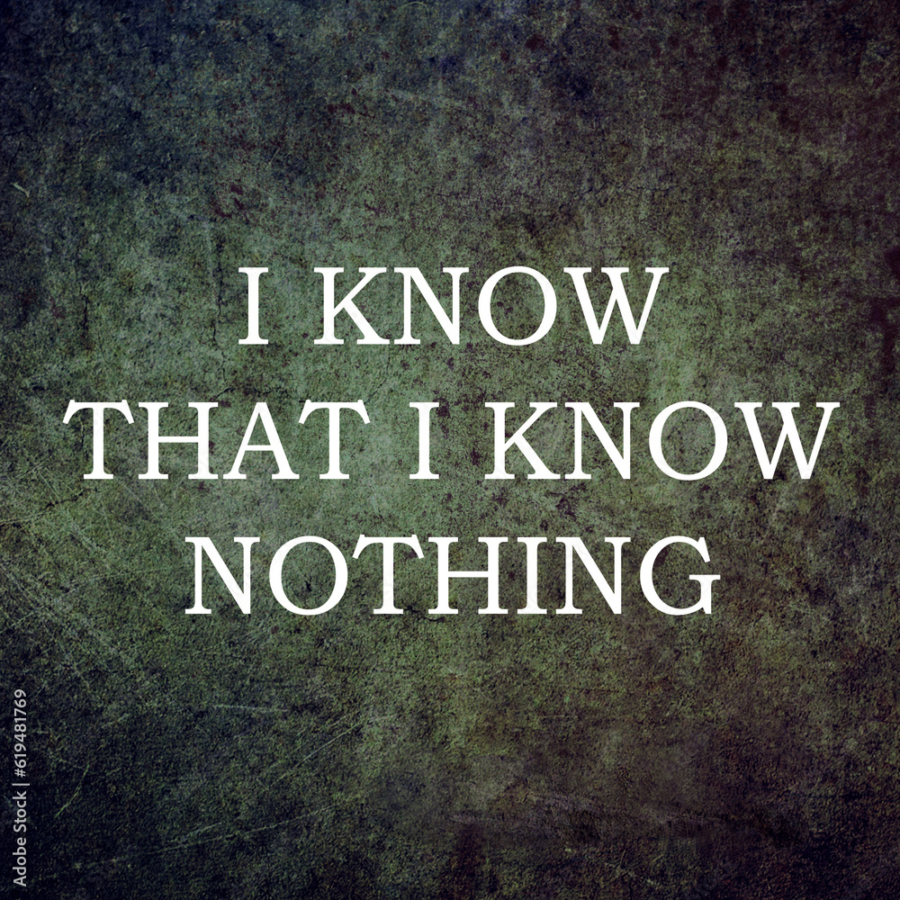 Quote of famous ancient Greek philosopher Socrates "I know that I know ...