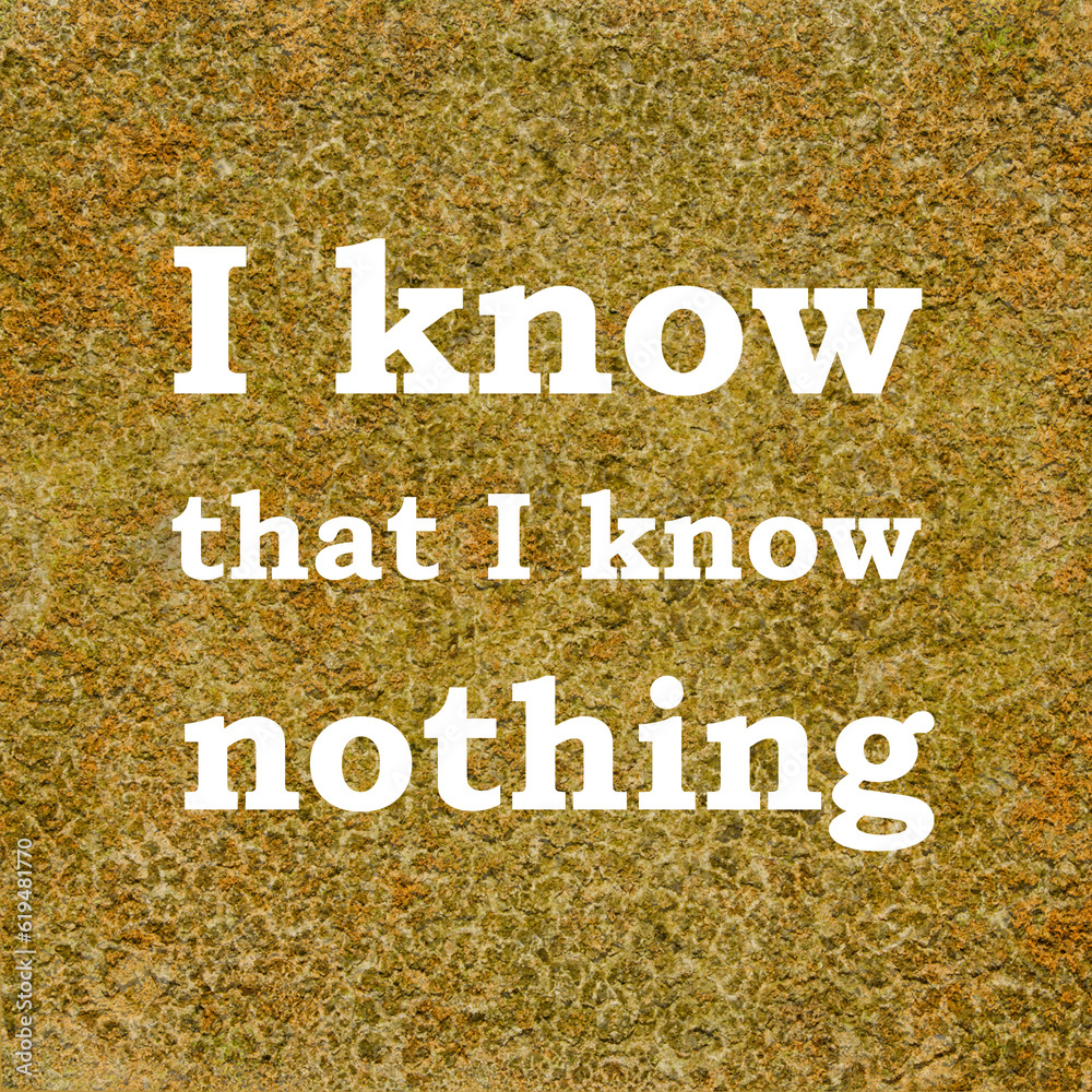 Quote of famous ancient Greek philosopher Socrates "I know that I know ...