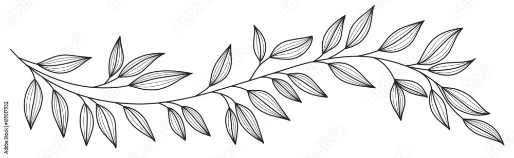 Clip Art Leaf Outline