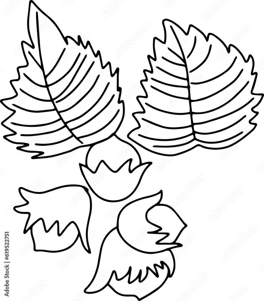 Fall autumn leaves line art. Simple botanical forest coloring page ...