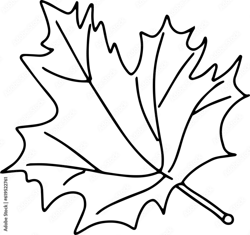 Fall autumn leaves line art. Simple botanical forest coloring page ...