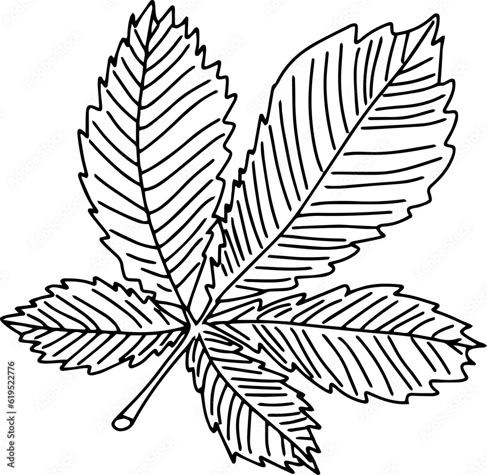 Fall autumn leaves line art. Simple botanical forest coloring page ...