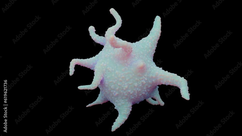 Platelet and thrombocyte anatomy concept and activated platelets ...