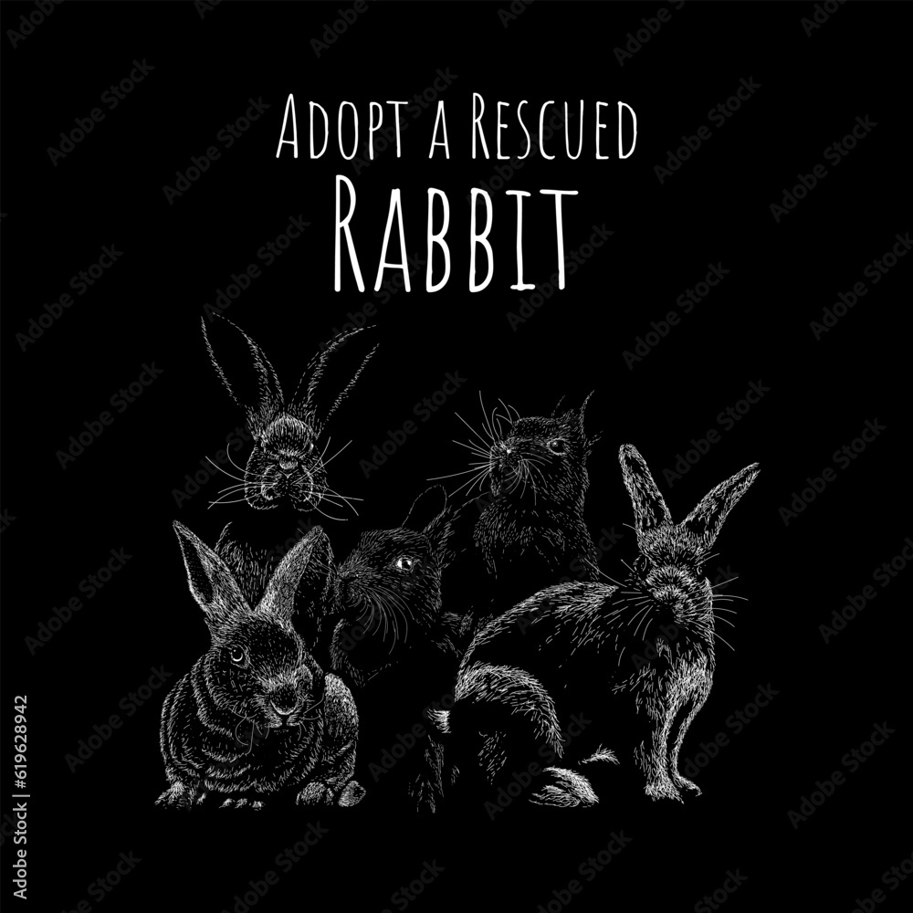 Adopt a Rescued Rabbit Month hand drawing vector isolated on black ...