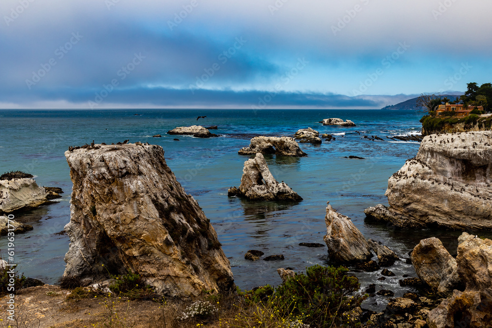 Sea Stacks at Dinosaur Caves Park. Birds take sanctuary on the rocks at ...
