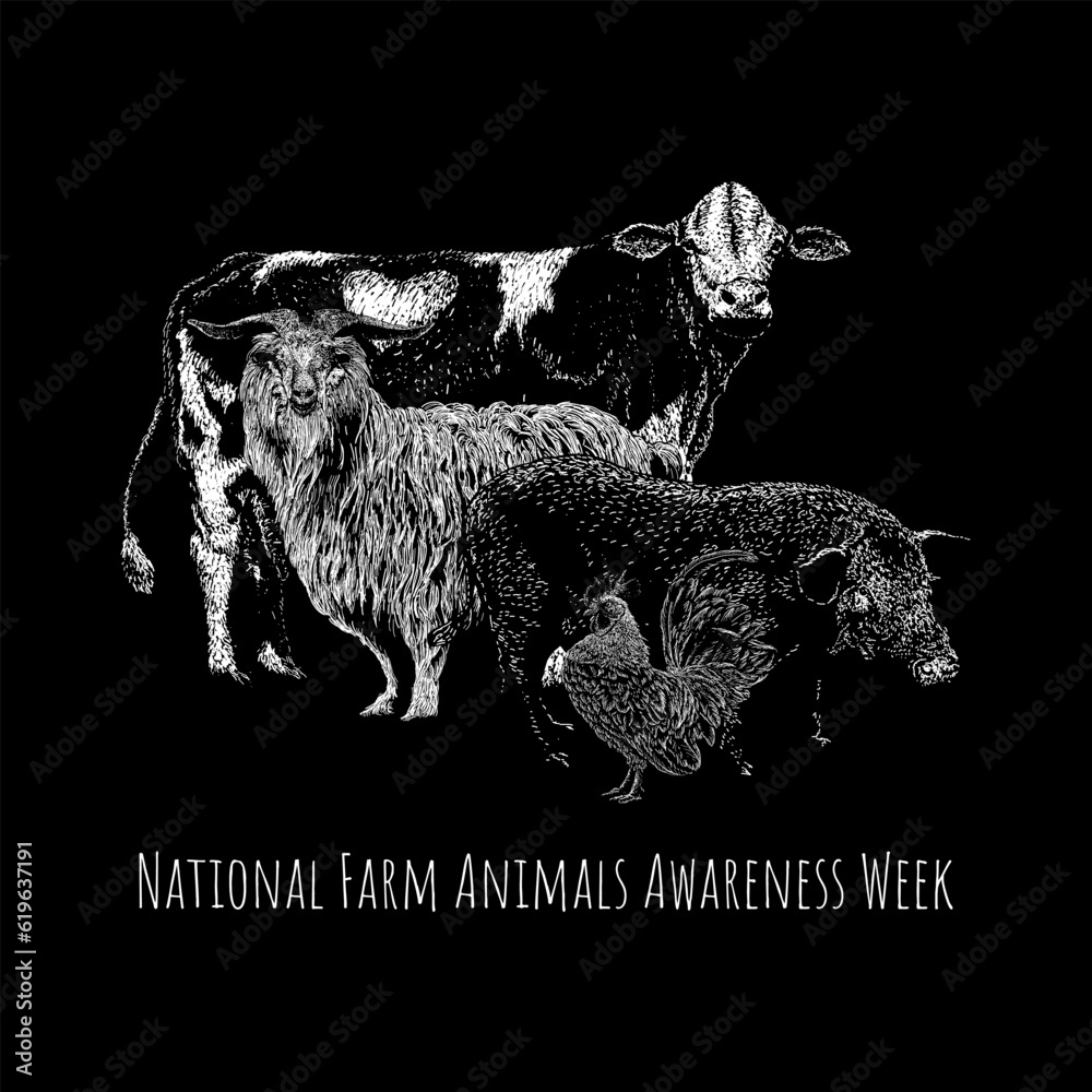 National Farm Animals Awareness Week hand drawing vector isolated on ...