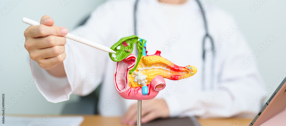 Doctor with human Pancreatitis anatomy model with Pancreas, Gallbladder ...