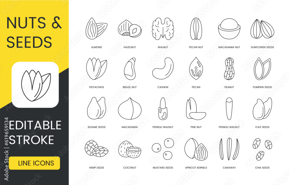 Set of linear icons in vector seeds and nuts, pecan and walnut ...
