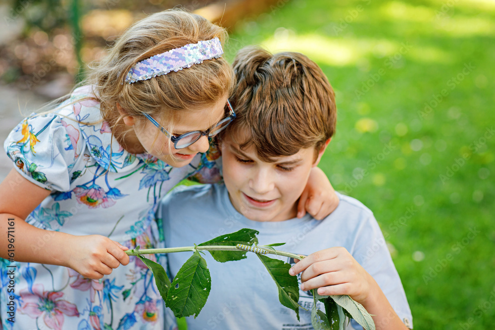 Little preschool girl and school kid boy watch caterpillar climb on ...