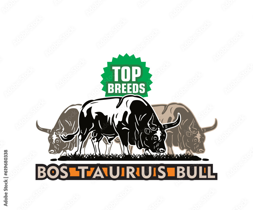 BOS TAURUS BREEDS CATTLE LOGO, silhouette of strong and big bull ...