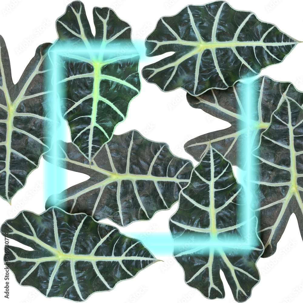 Green Leave neon effect frame. Alocasia leaves die cut for online ads ...