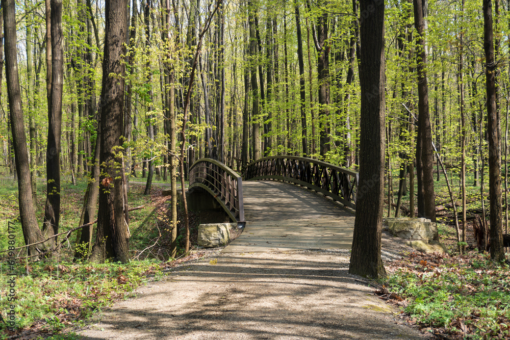 Foto de Fallen Timbers Battlefield National Historic Site and ...