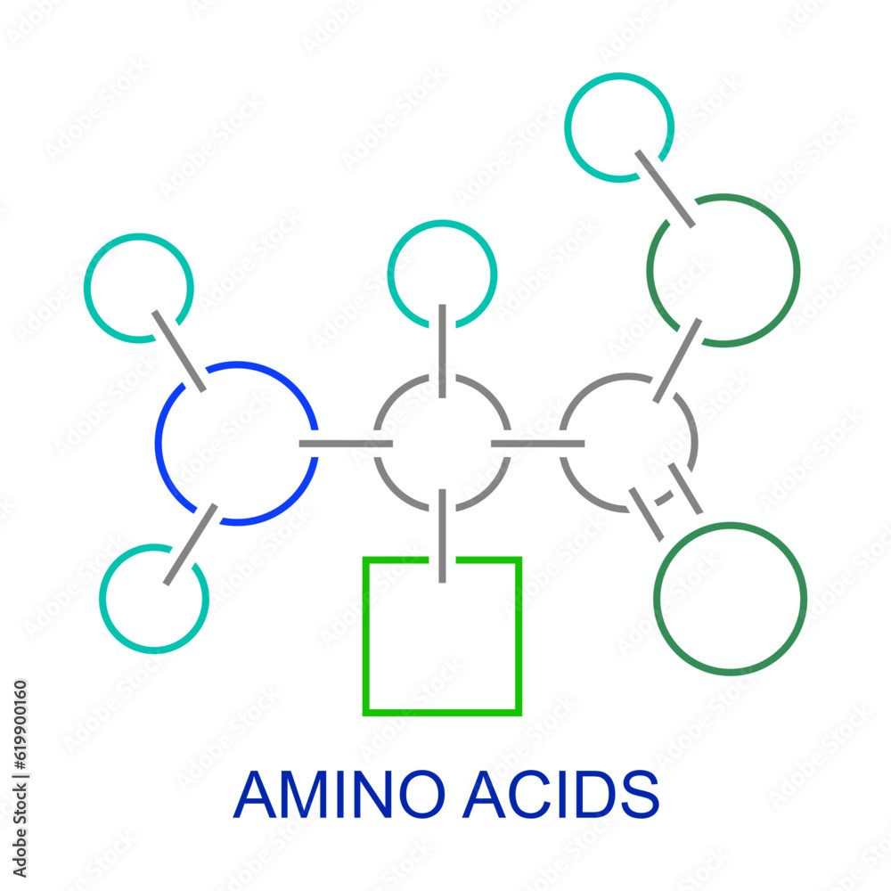 Amino acids vector icon, amino acids colorful outline icon illustration ...