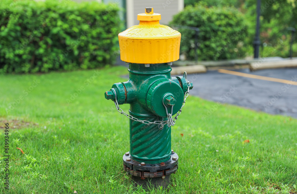 fire hydrant stands as a symbol of safety and preparedness ...