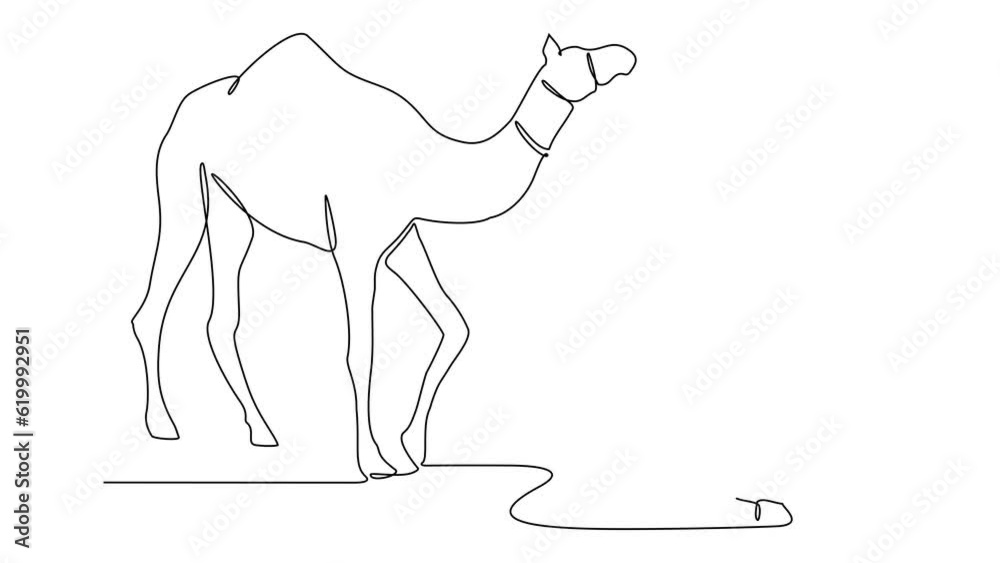 Animated self drawing of single continuous line draw for people are ...