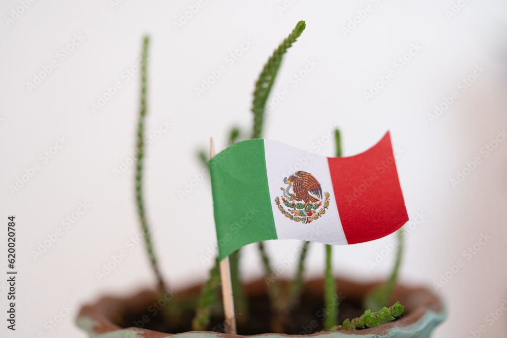 Bandera de México miniatura impresa en papel y clavada en maceta con ...