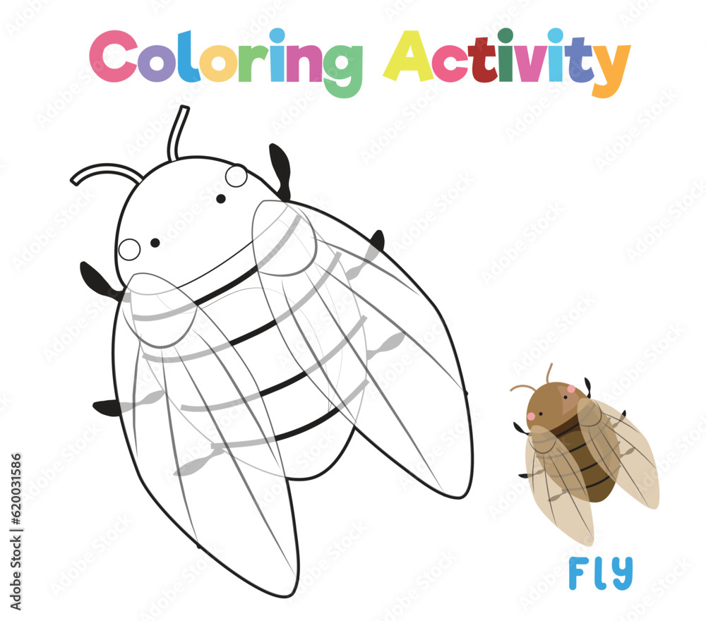 Coloring a cute fly. A colouring page of the insect. Coloring activity ...
