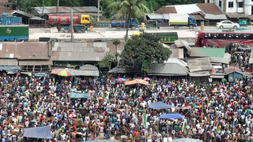 Cattle market, Livestock market, Thousands of cows are lined up to be ...