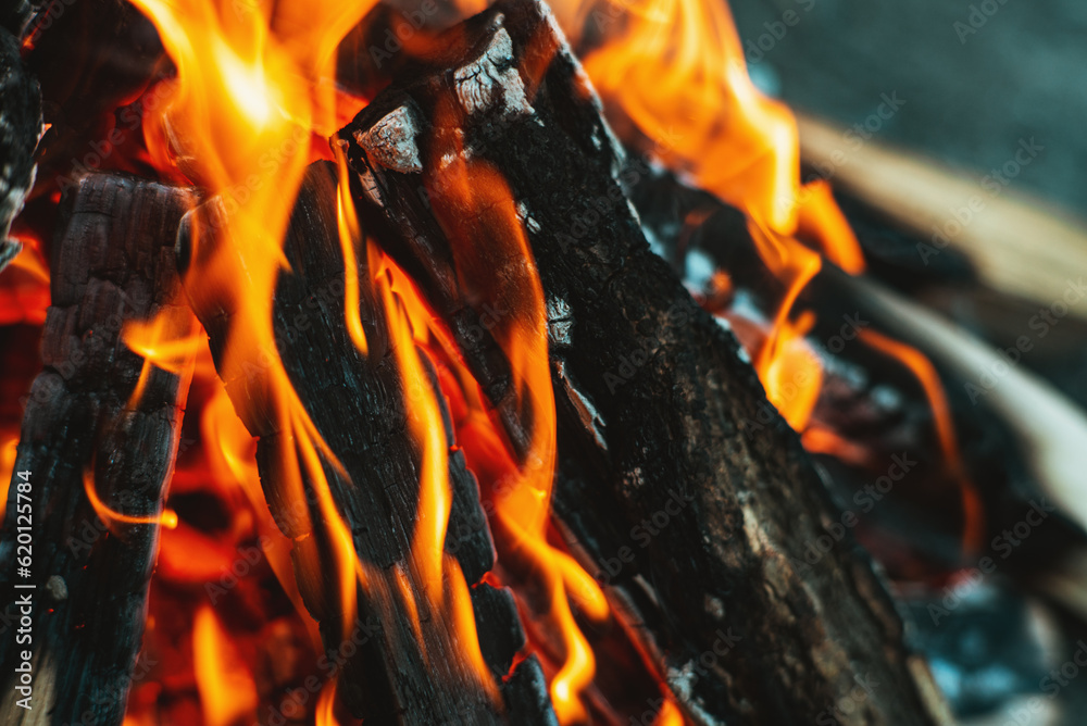 A bright flame of fire over a campfire. Wooden wood stacked in a ...