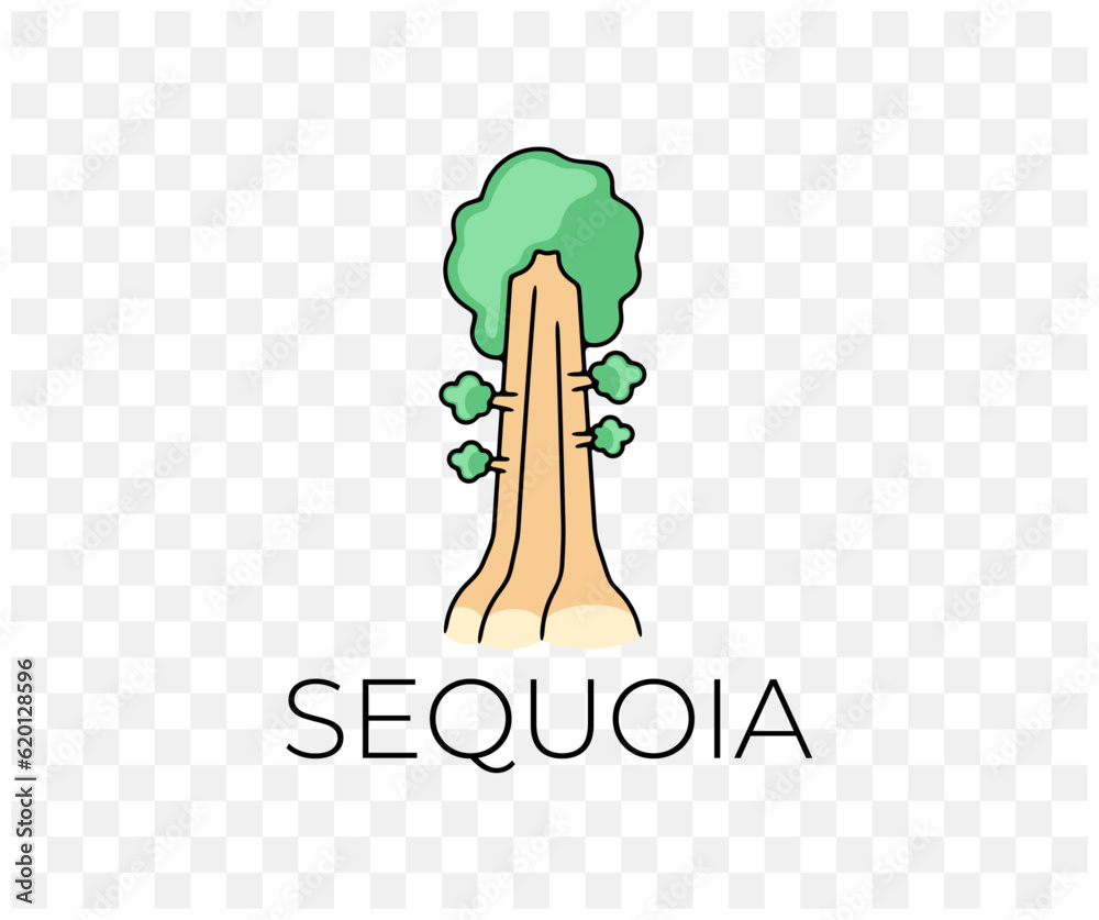 Big sequoia in the national park, nature, trees and plant, colored ...