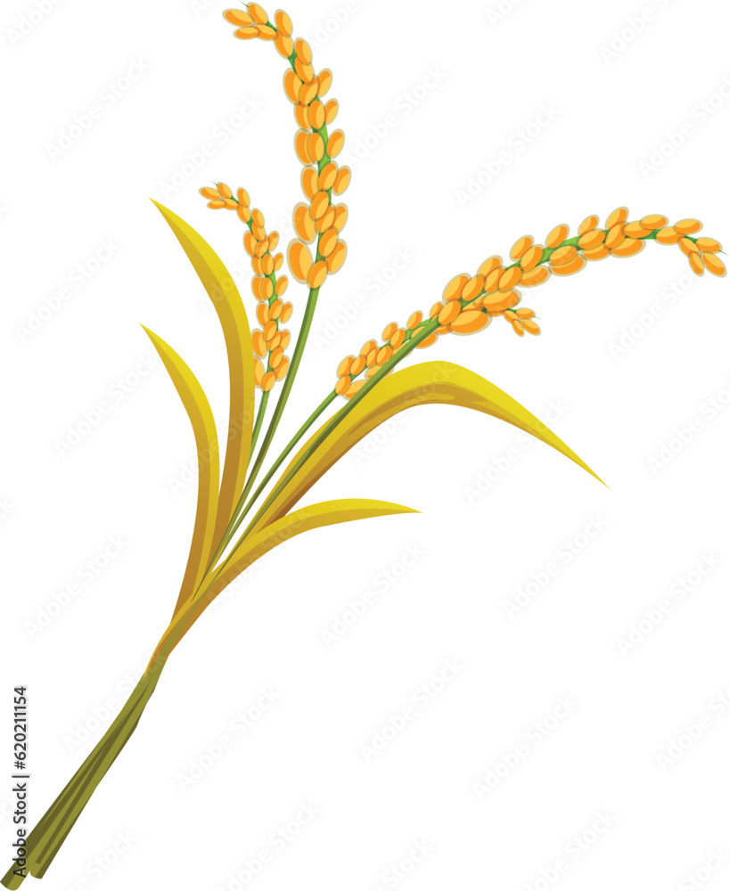 Ear of rice icon, Agriculture wheat, Barley rice grains element ...