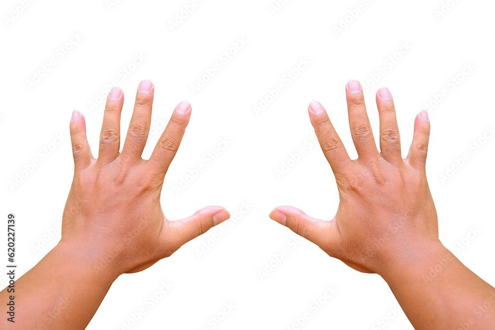 hands on transparent background (png) Stock Photo | Adobe Stock