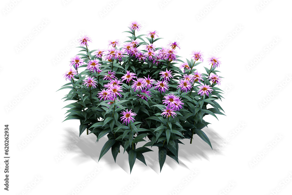 flower tree png in isolated white background Stock Illustration | Adobe ...