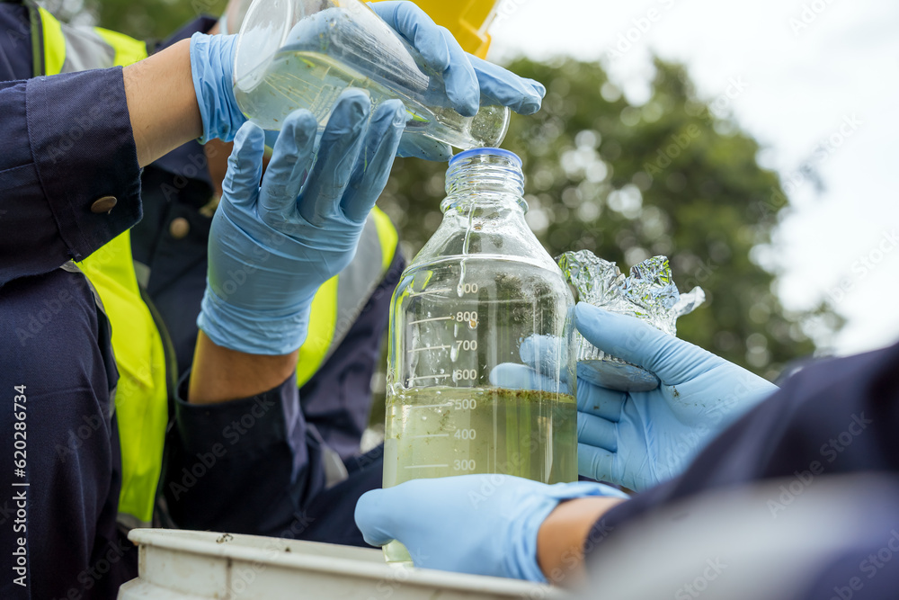 Environmental researchers investigate the condition of canal water for ...