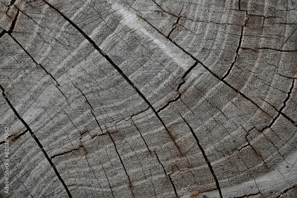 cracked timber texture, gray textured wooden material, brown wooden ...