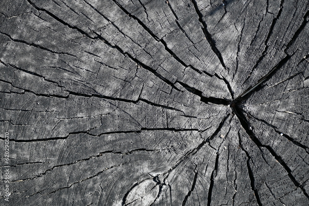 cracked timber texture, gray textured wooden material, brown wooden ...