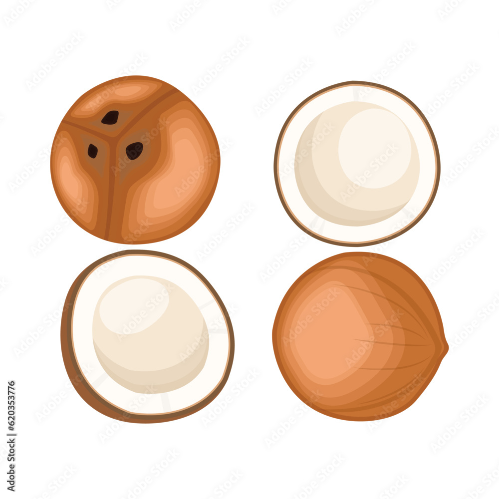 Whole Coconut Clip Art