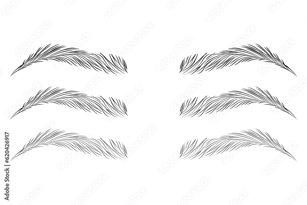 Eyebrow shape set, Fashion eyebrows of various shapes and types, Brown ...