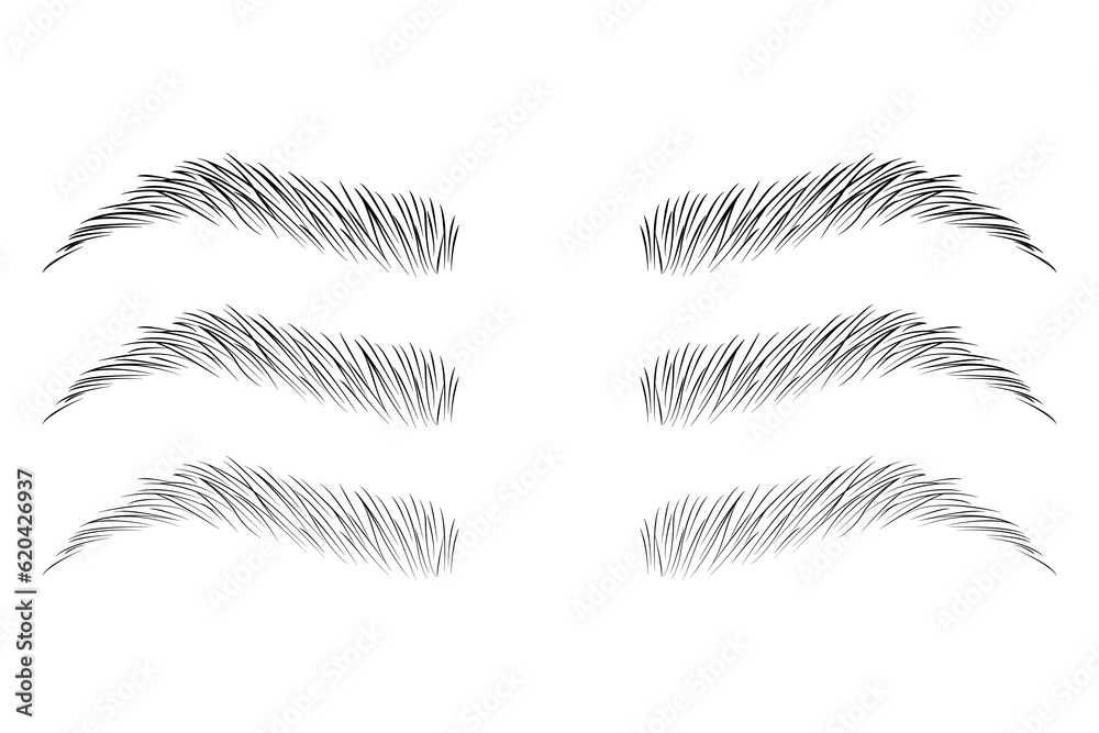 Eyebrow shape set, Fashion eyebrows of various shapes and types, Brown ...