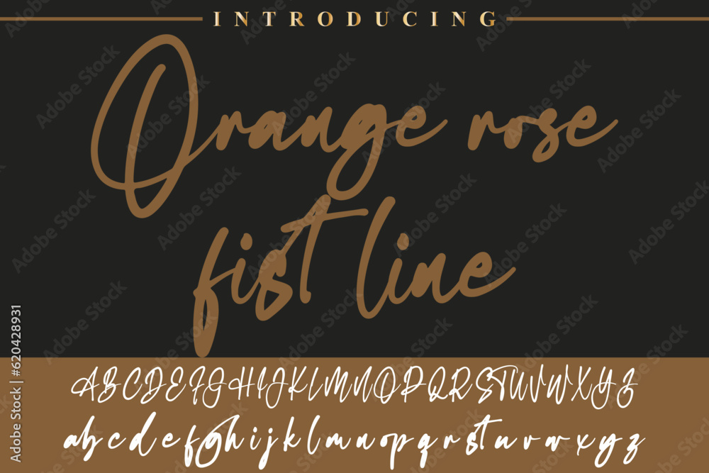 Hand drawn vector alphabet. Script font. Isolated letters written with marker, ink. Calligraphy ...