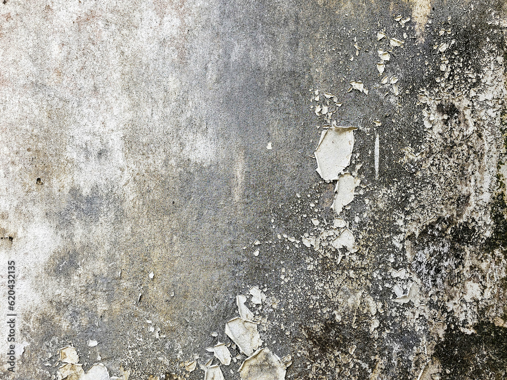 Old dirty aged wall texture with mold. Old grunge texture background ...