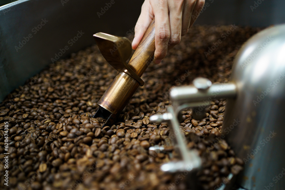 Professional coffee roaster working with modern automated roasting ...