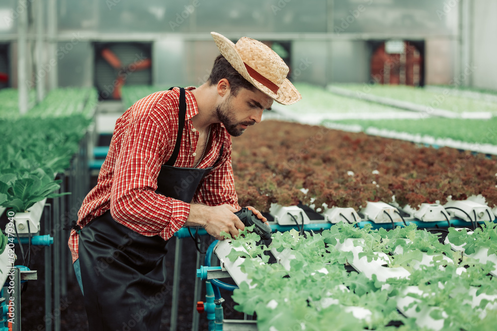 The hydroponic farm owner conducts technical inspection using handy ...